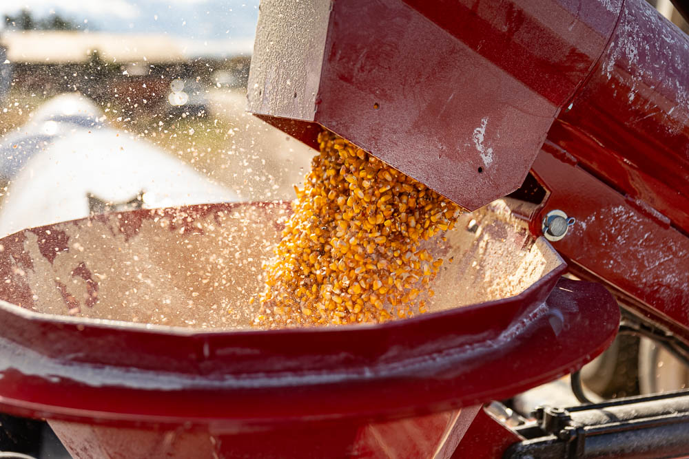 A Bigger, Better Mill to Meet Your Growing Corn-Processing Needs ...