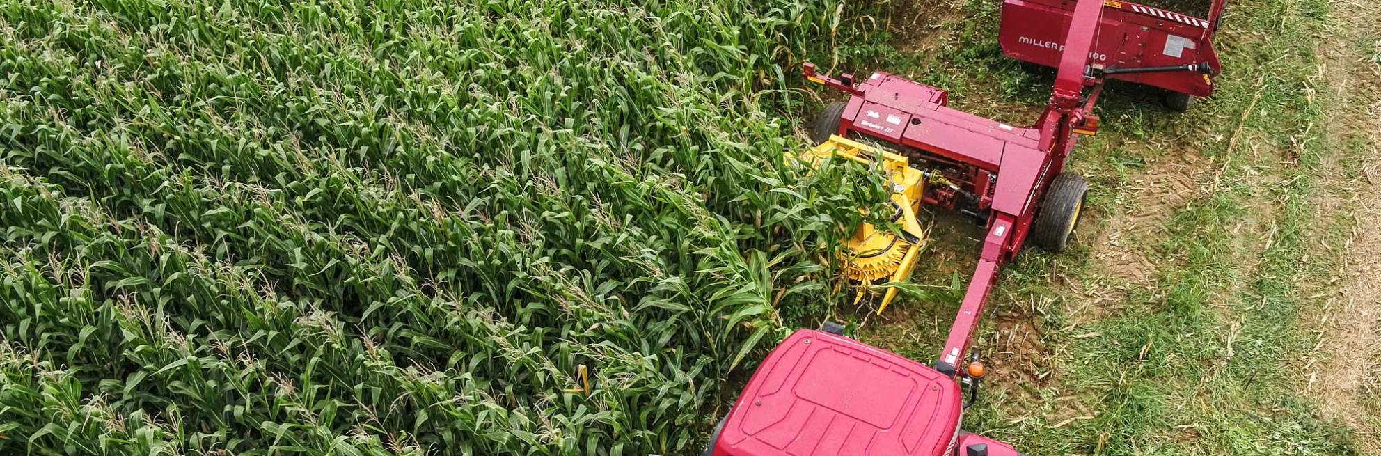 3-row Rotary Corn Head | Horning