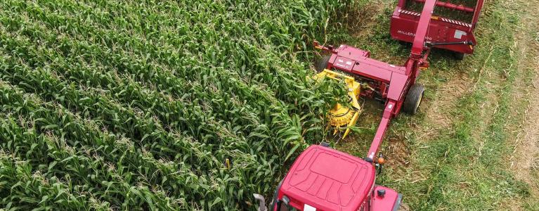 3-row Rotary Corn Head | Horning