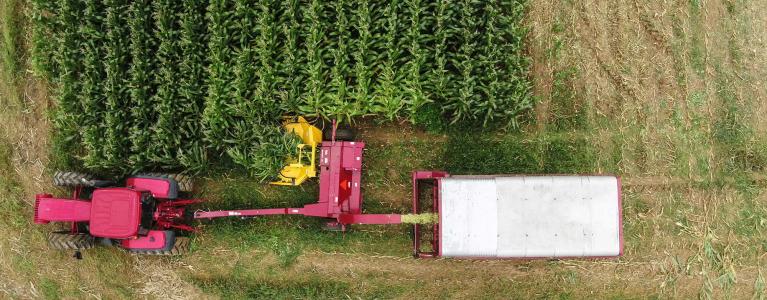 3-row Rotary Corn Head | Horning