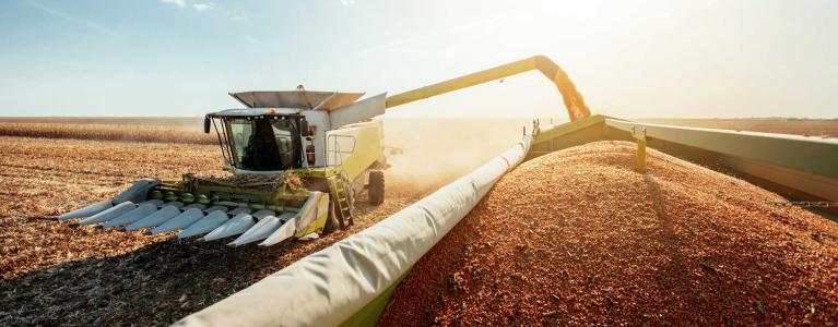 High Moisture Corn Shredder | Horning