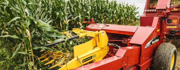 2-row Row-Independent Corn Head | Horning